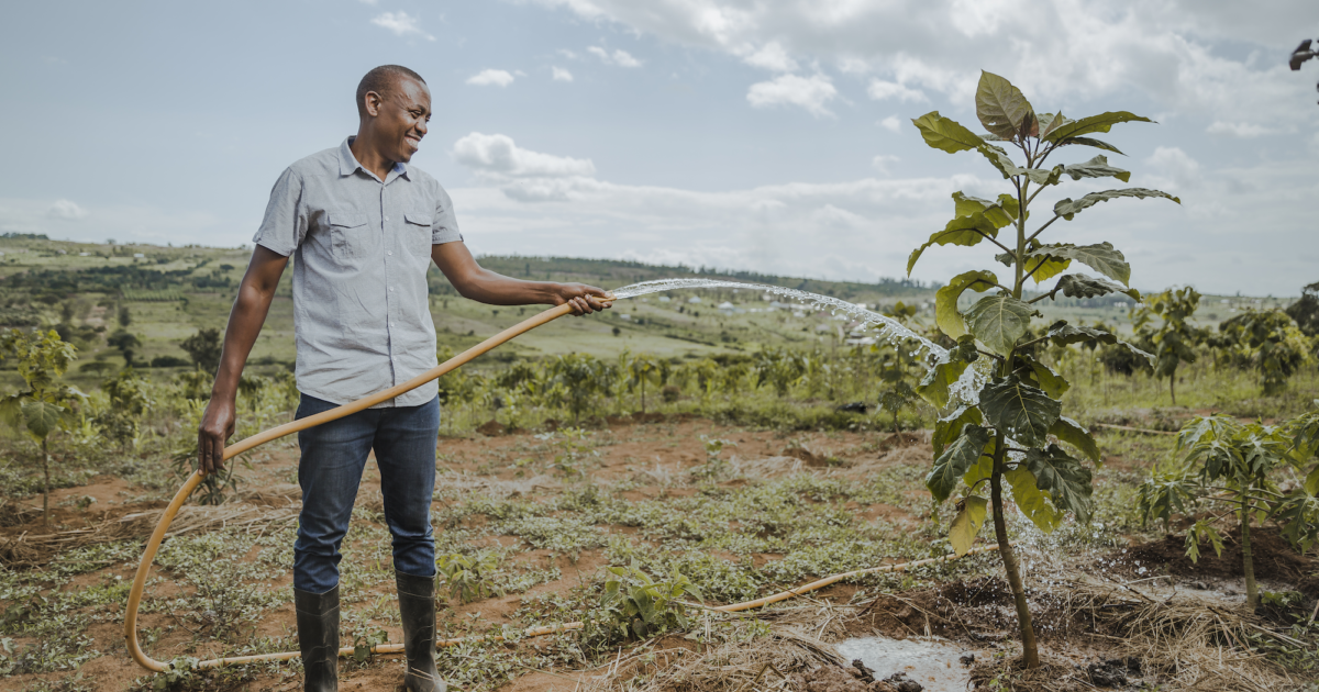 Delivering Better, Faster Restoration of Degraded… | Bezos Earth Fund