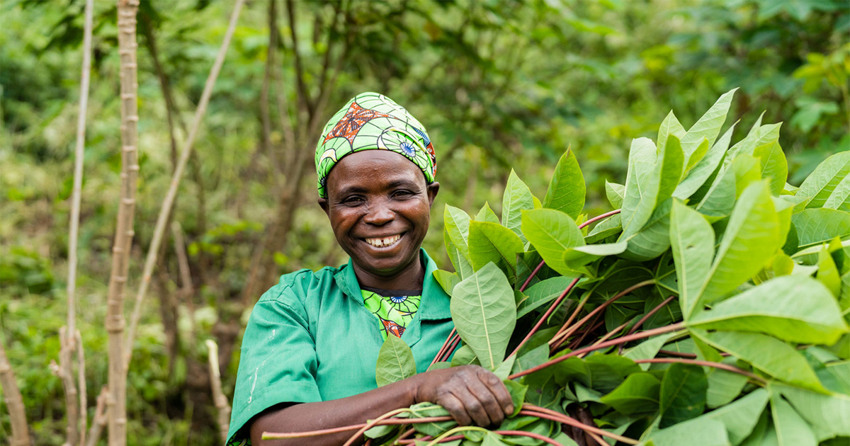 Bezos Earth Fund Announces $110 Million to… | Bezos Earth Fund