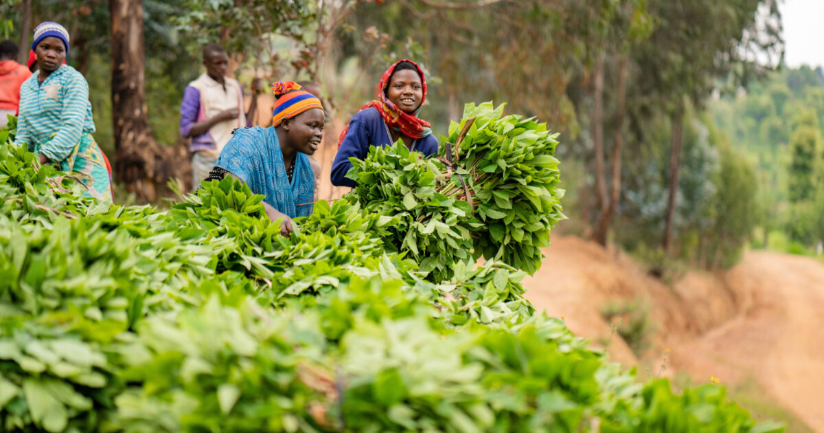 Future of Food | Bezos Earth Fund