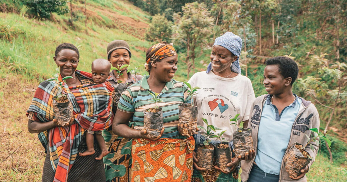 Advancing Restoration in Africa | Bezos Earth Fund