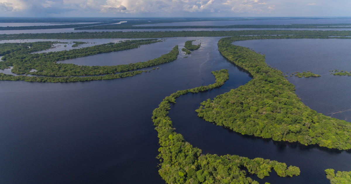 Brazilian Amazon | Bezos Earth Fund