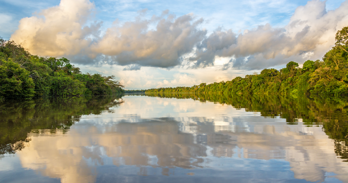 The Bridges We Must Build to Save Nature | Bezos Earth Fund