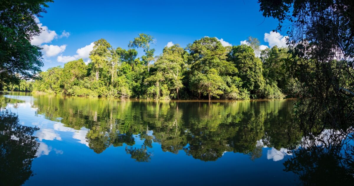 Indigenous Guardianship & Organizational… | Bezos Earth Fund