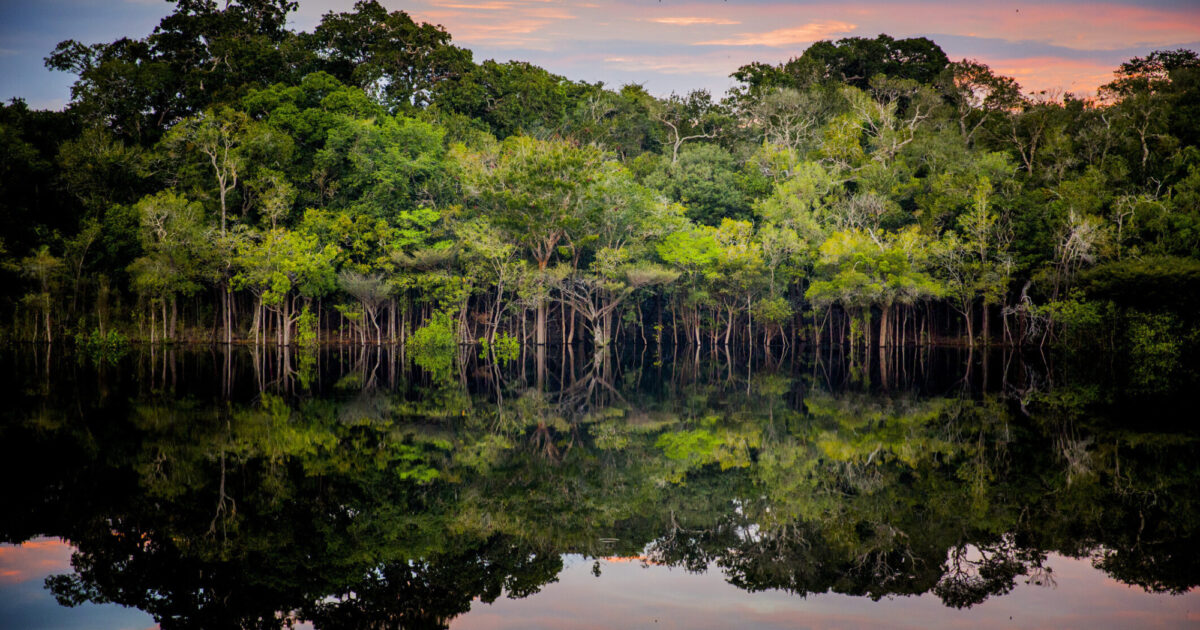 The Bezos Earth Fund Announces $50 Million in… | Bezos Earth Fund