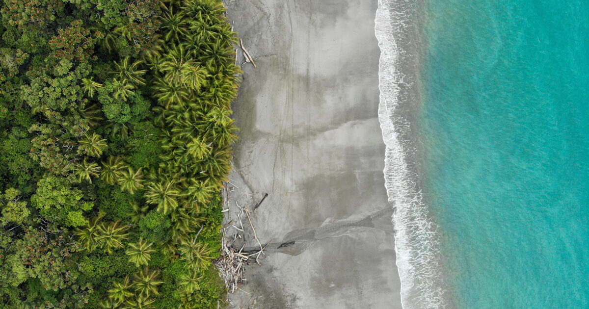 Bezos Earth Fund Celebrates Adoption of the Global… | Bezos Earth Fund