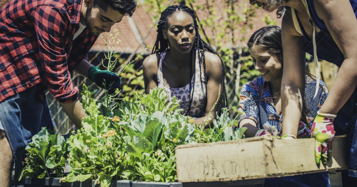 Bezos Earth Fund Announces $400 Million for… | Bezos Earth Fund