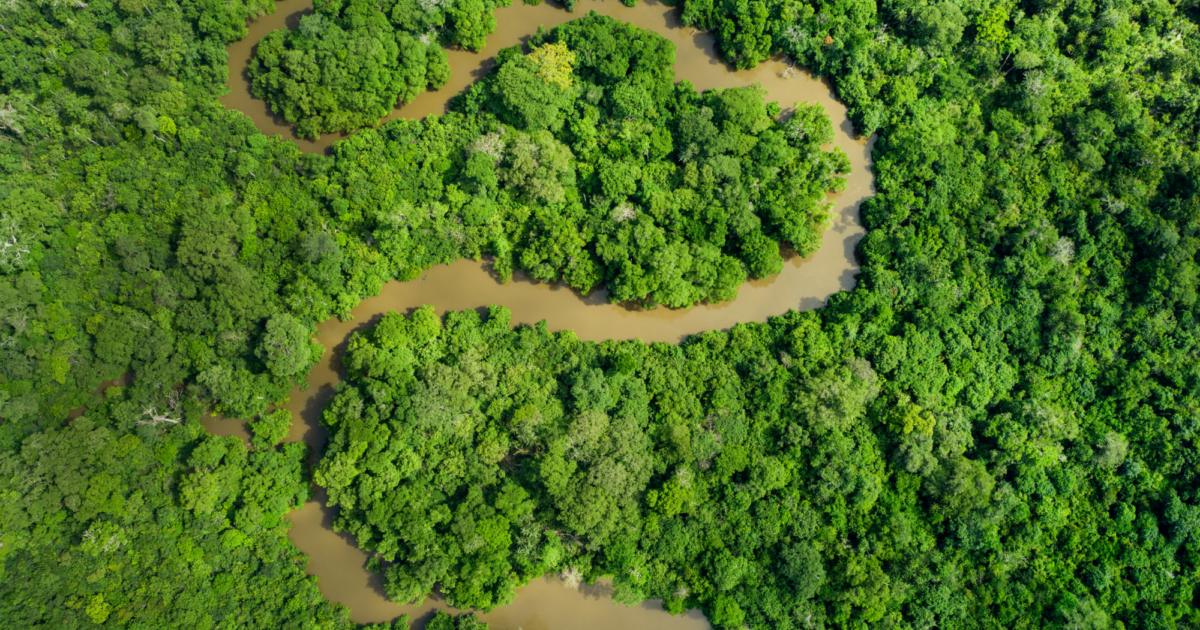 Expanding Protected Areas with Local and… | Bezos Earth Fund Expanding Protected Areas with Local and… | Bezos Earth Fund