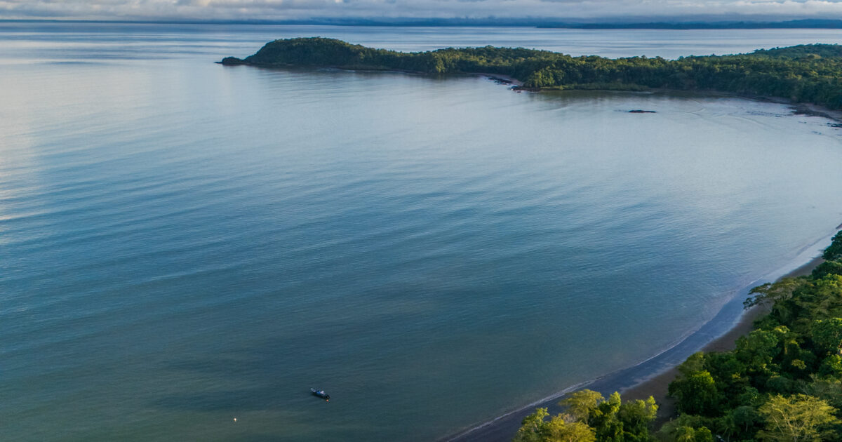 Bezos Earth Fund Announces $24.5 Million for… | Bezos Earth Fund
