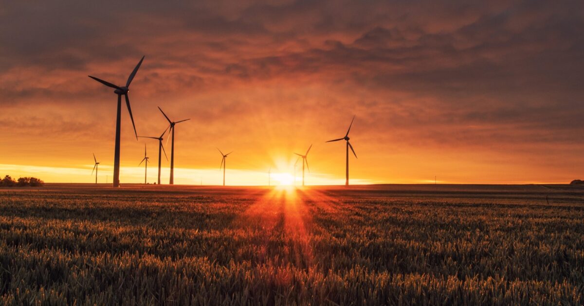 Bezos Earth Fund Expands Team, Welcomes Paul… | Bezos Earth Fund