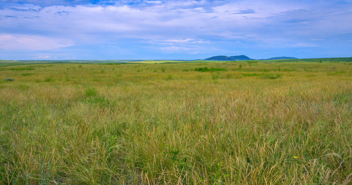 How Working Lands Keep Wildlife Moving | Bezos Earth Fund