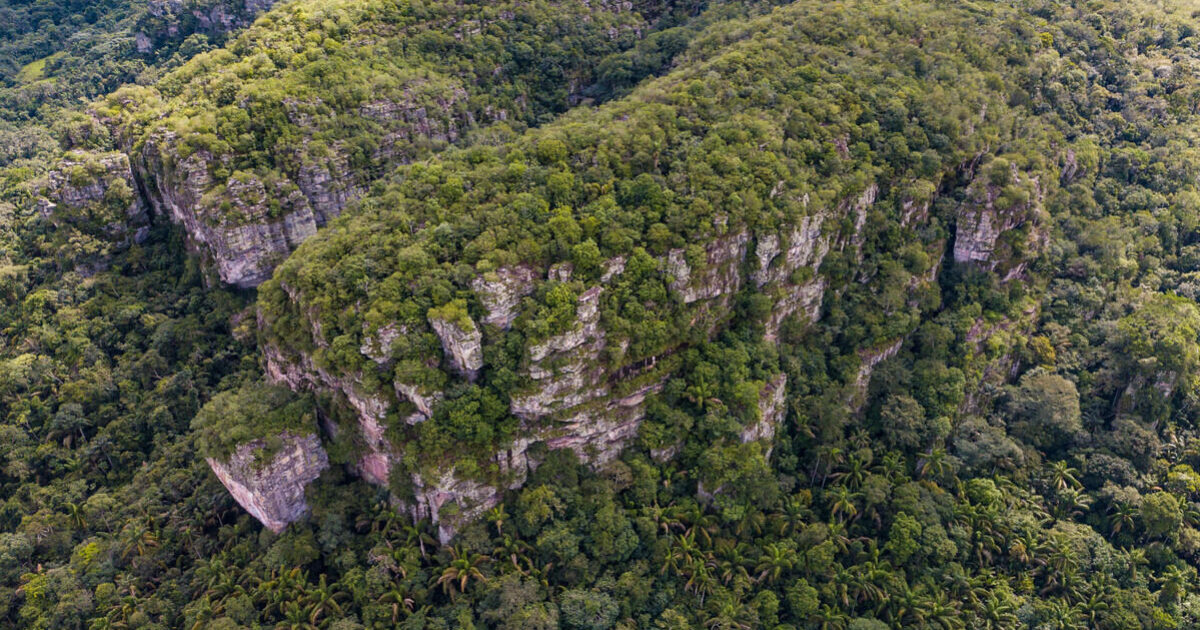 Tropical Andes | Bezos Earth Fund