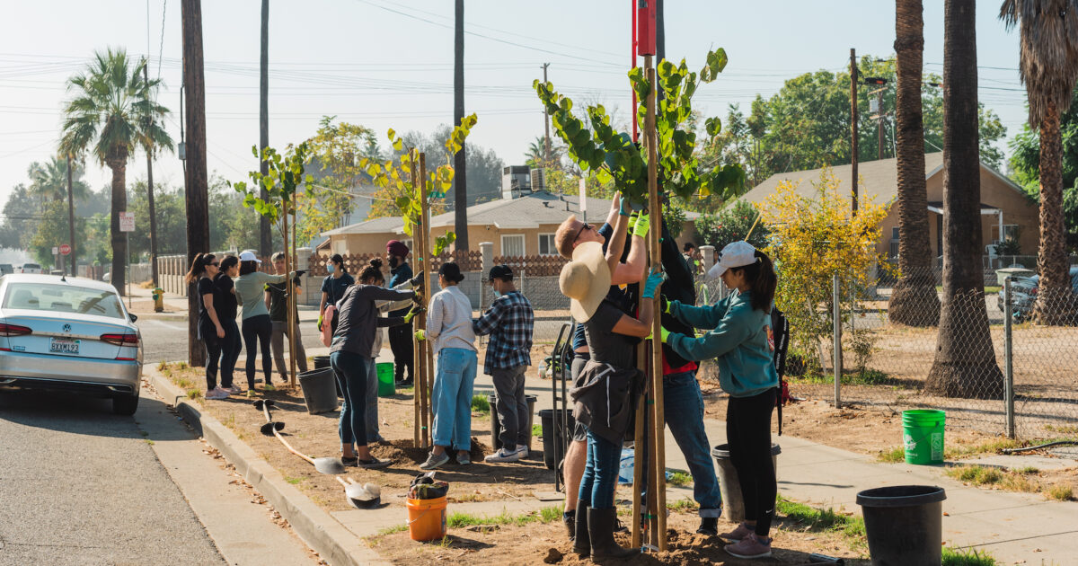 Expanding and Maintaining Community Tree Equity in… | Bezos Earth Fund