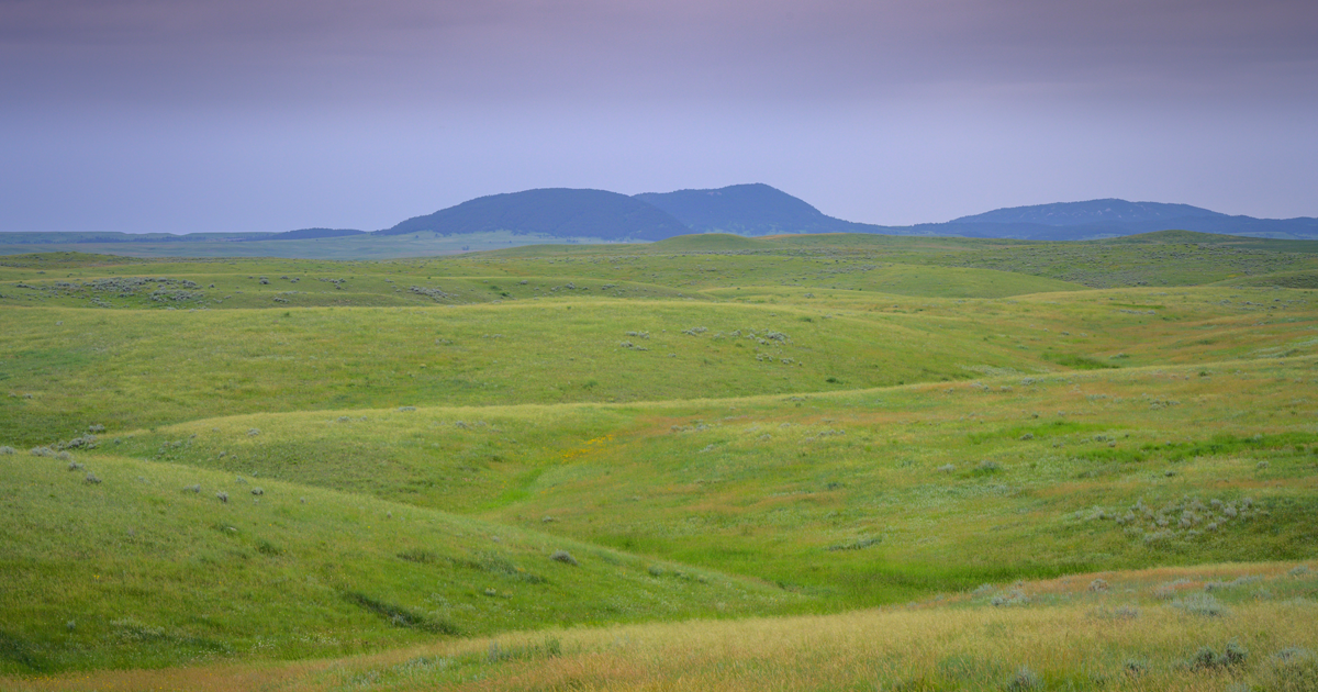 $60 Million Bezos Earth Fund Grant will Revitalize… | Bezos Earth Fund