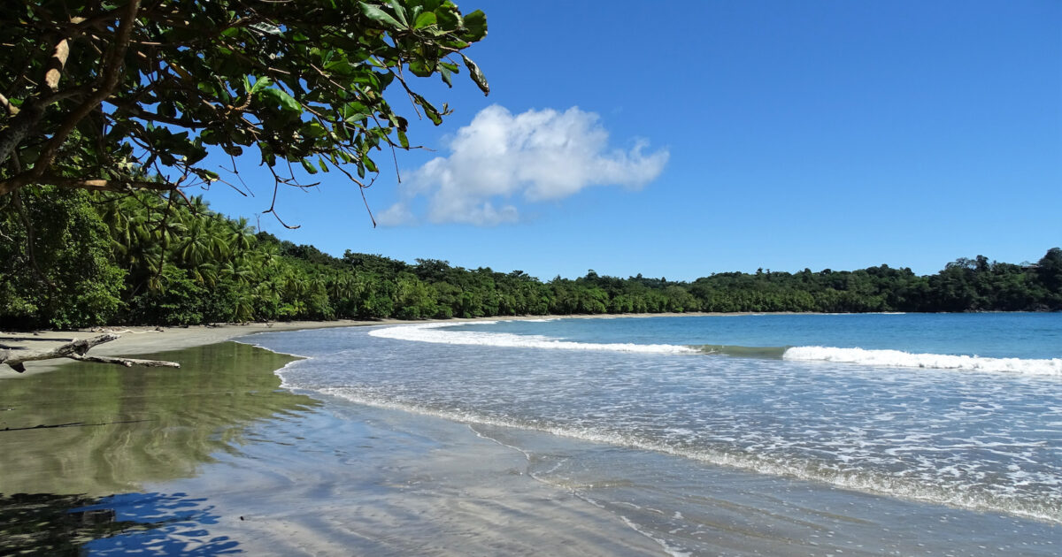 Strengthening the Protection and Management of… | Bezos Earth Fund