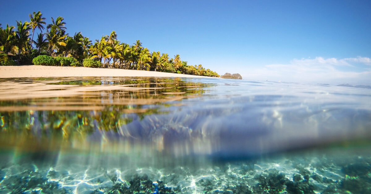 Bezos Earth Fund Pledges $100 Million to Support… | Bezos Earth Fund