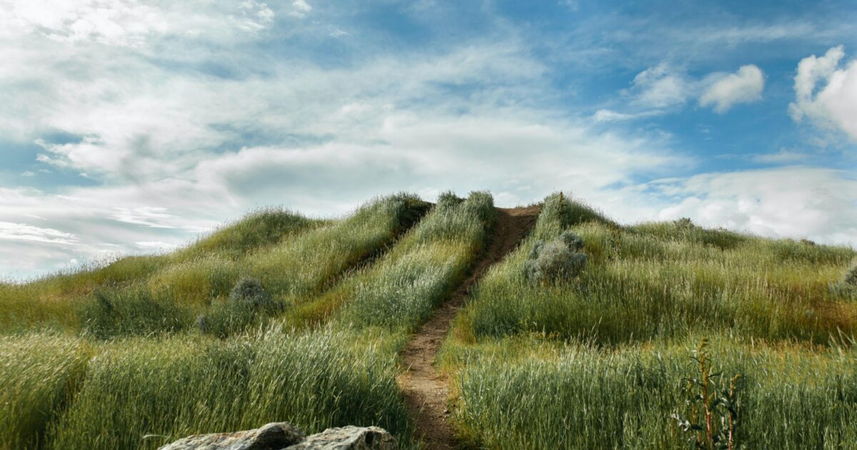 Careers | Bezos Earth Fund